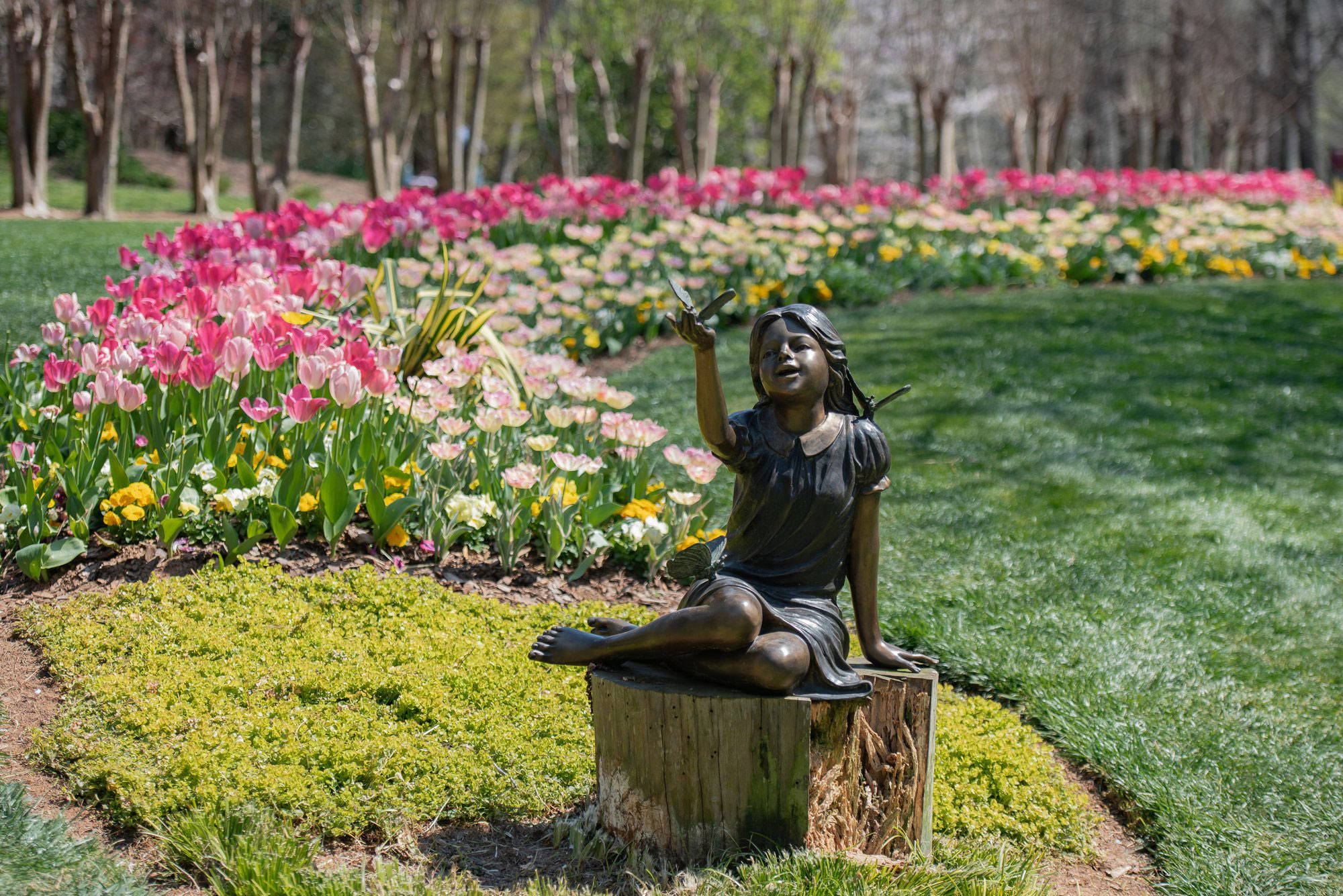 Flower Gardens In Georgia Seeking Eden” Peeks Behind The Garden