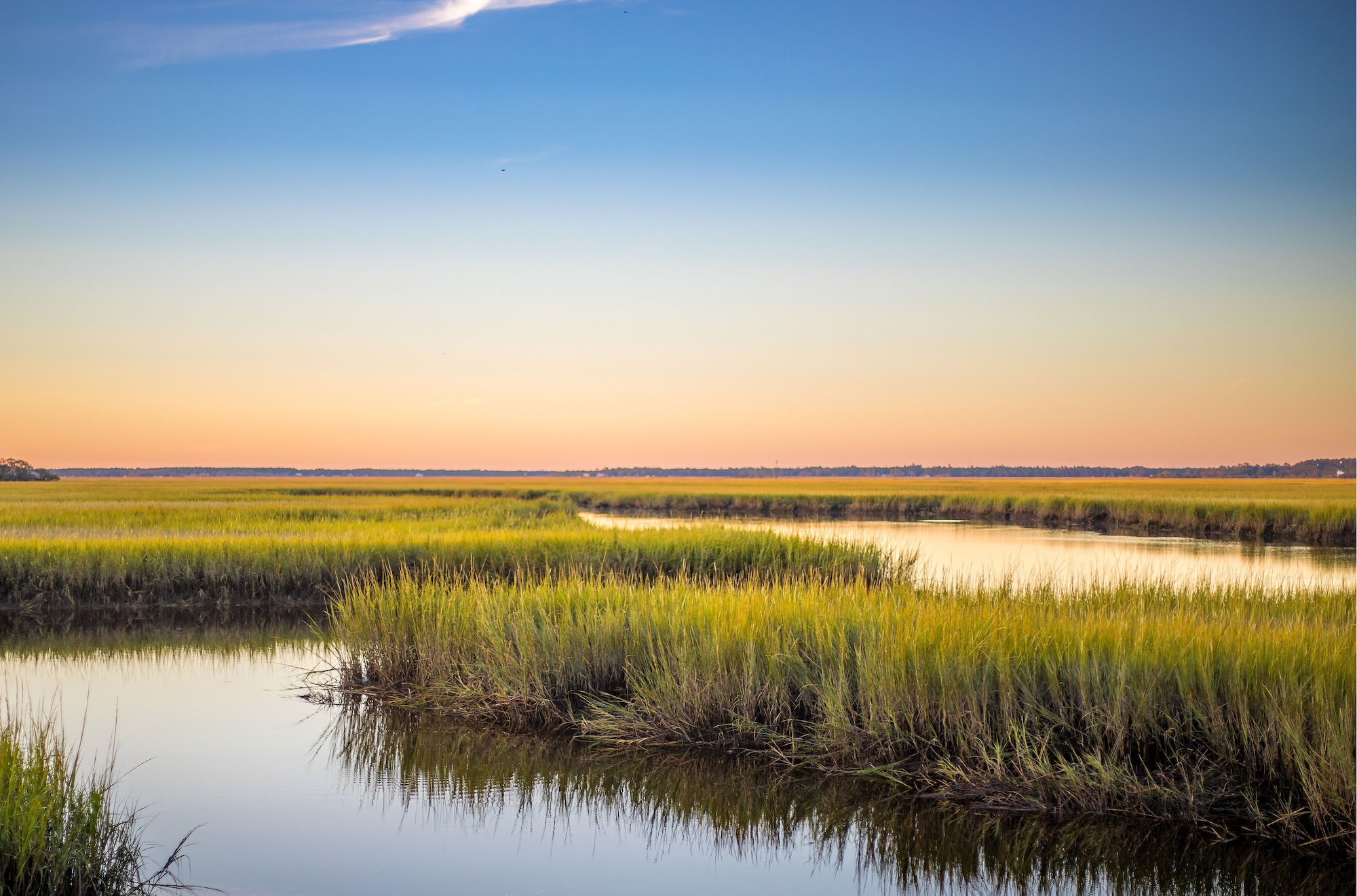 Discover Outdoor Adventure & Things To Do In Kingsland | Explore Georgia