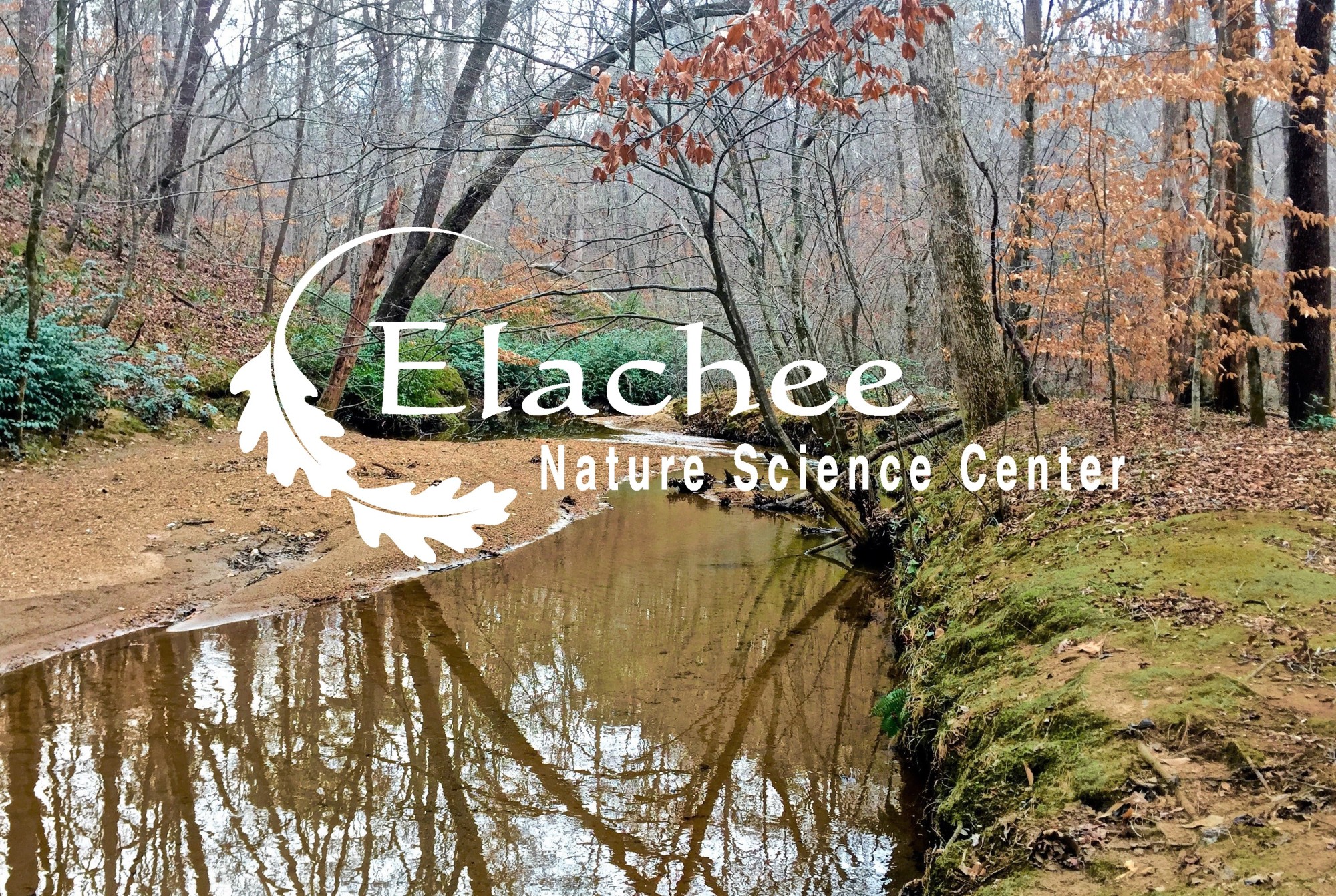 Spring Weekly Walks | Explore Georgia