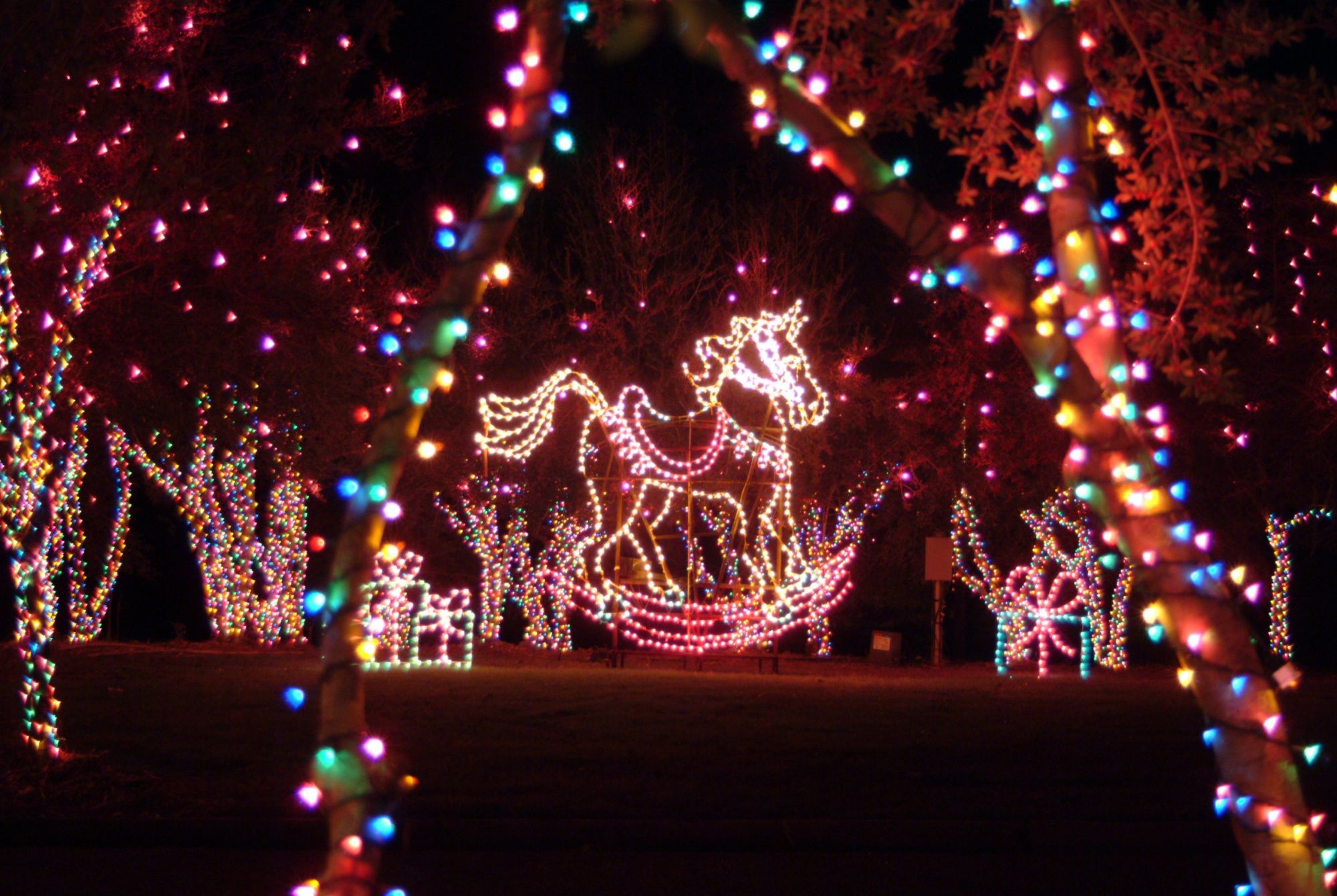 Forsyth County Night - Magical Nights of Lights | Explore Georgia