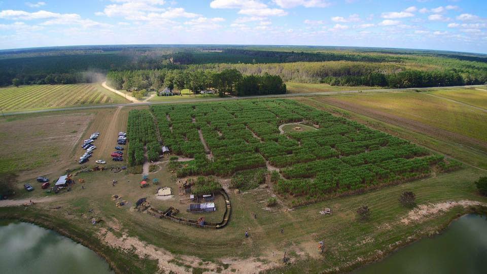 A-Maze-N-Cane | Explore Georgia