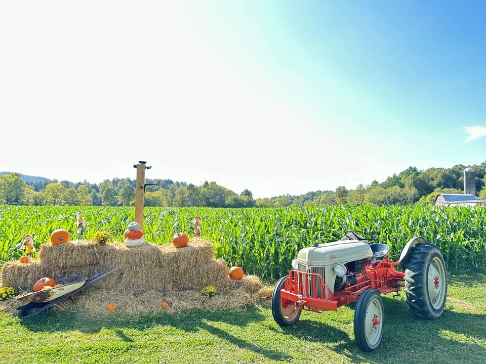 Holly Ridge Farm | Explore Georgia