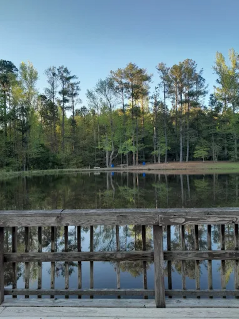 Clinton's Nature Preserve | Explore Georgia