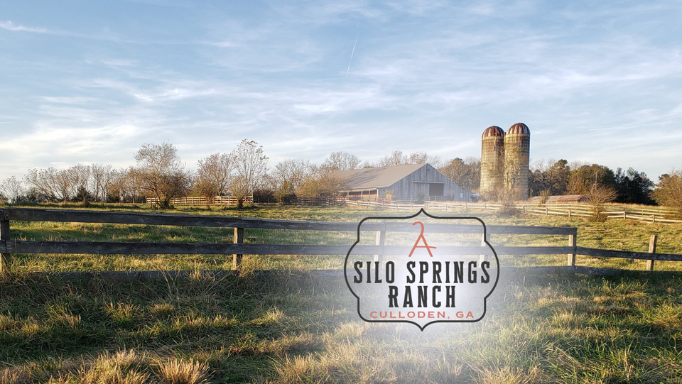 Silo Springs Ranch | Explore Georgia