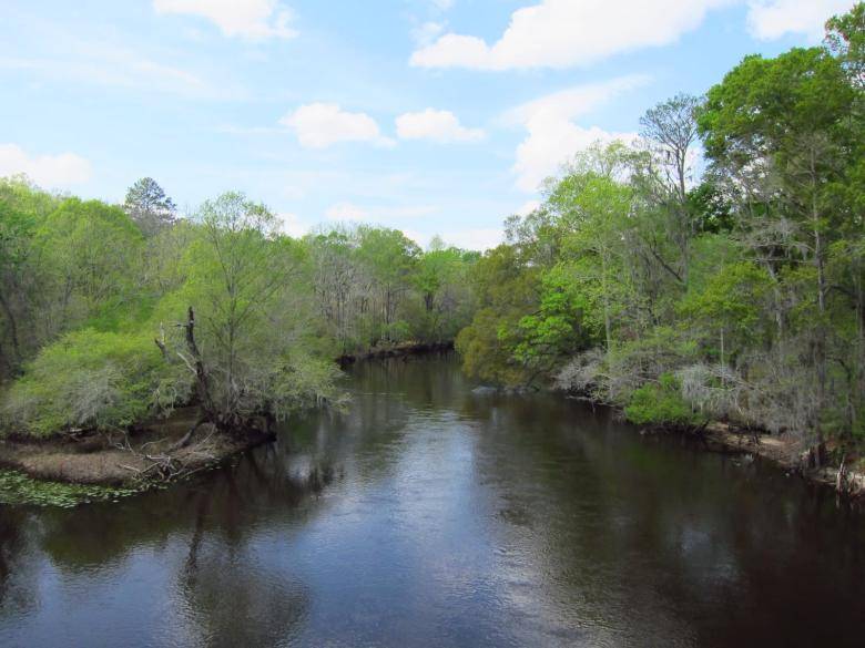 Ellabell | Explore Georgia